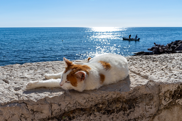 Viena populiariausių kelionių krypčių Europoje – Pafosas